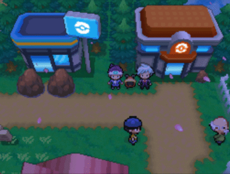 Pokemon Garbage Gold Deluxe - NDS Game by sauceyaTTa