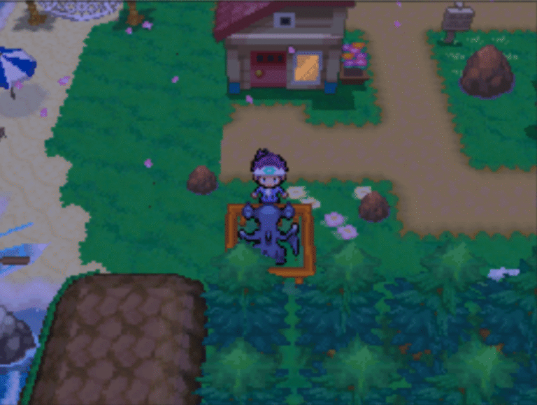 Pokemon Garbage Gold Deluxe - NDS Game by sauceyaTTa