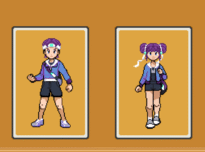 Pokemon Garbage Gold Deluxe - NDS Game by sauceyaTTa