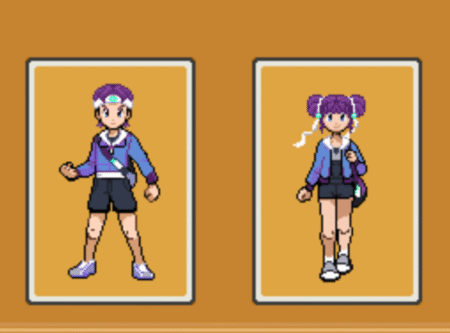 Pokemon Garbage Gold Deluxe - NDS Game by sauceyaTTa