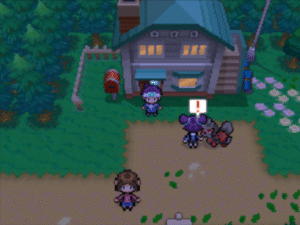 Pokemon Garbage Gold Deluxe - NDS Game by sauceyaTTa