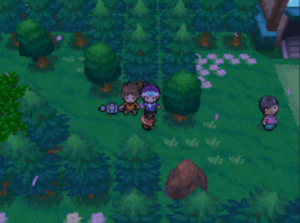 Pokemon Garbage Gold Deluxe - NDS Game by sauceyaTTa