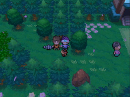 Pokemon Garbage Gold Deluxe - NDS Game by sauceyaTTa